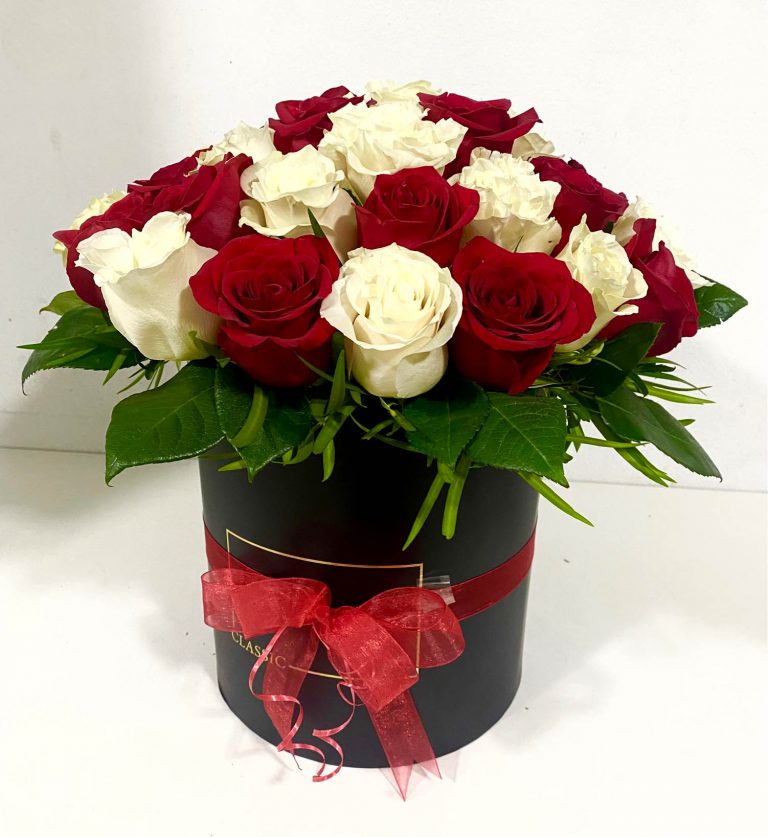 Inicio - RosasExpress